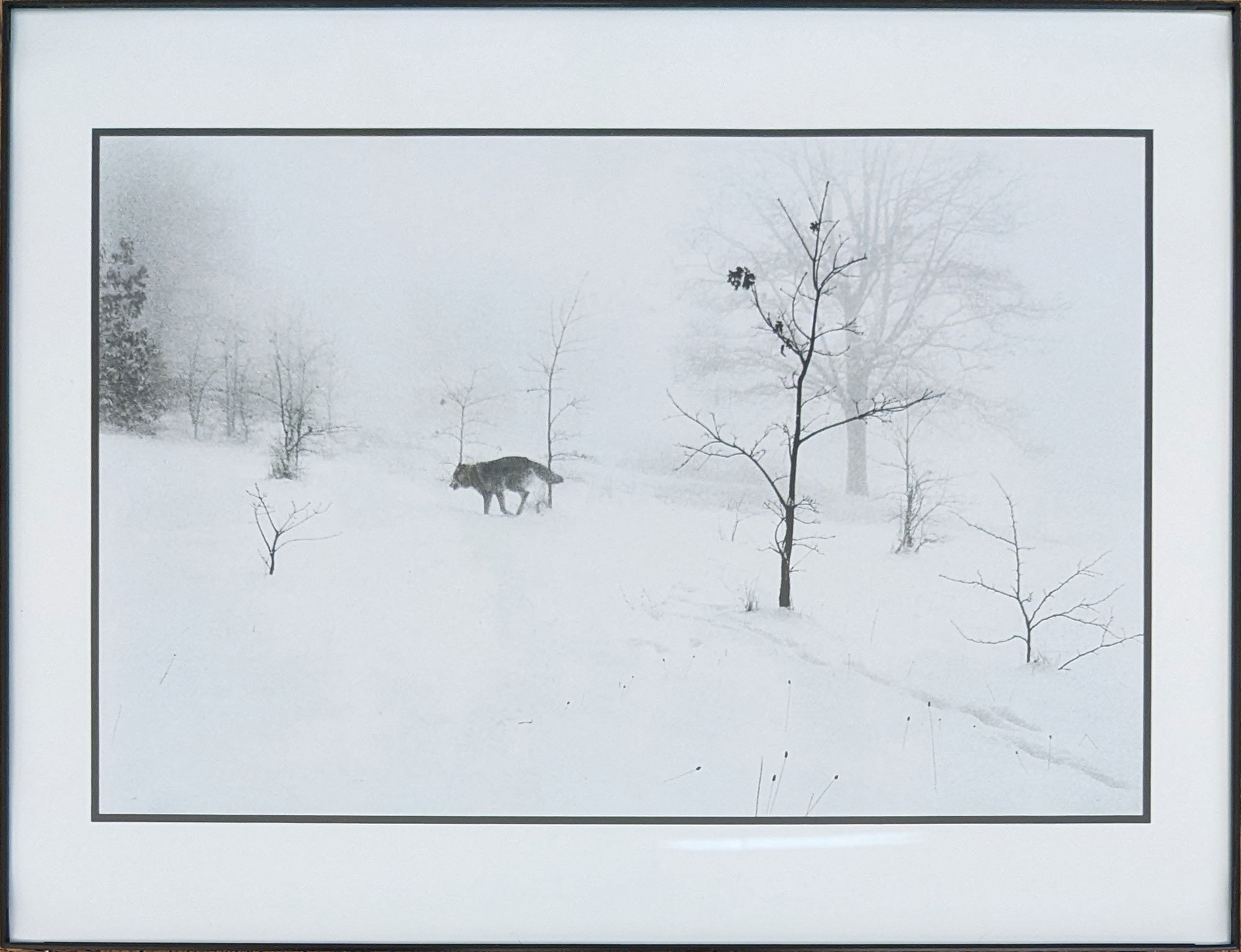 John Bauguess: A Life Through His Lens & Depth of Field