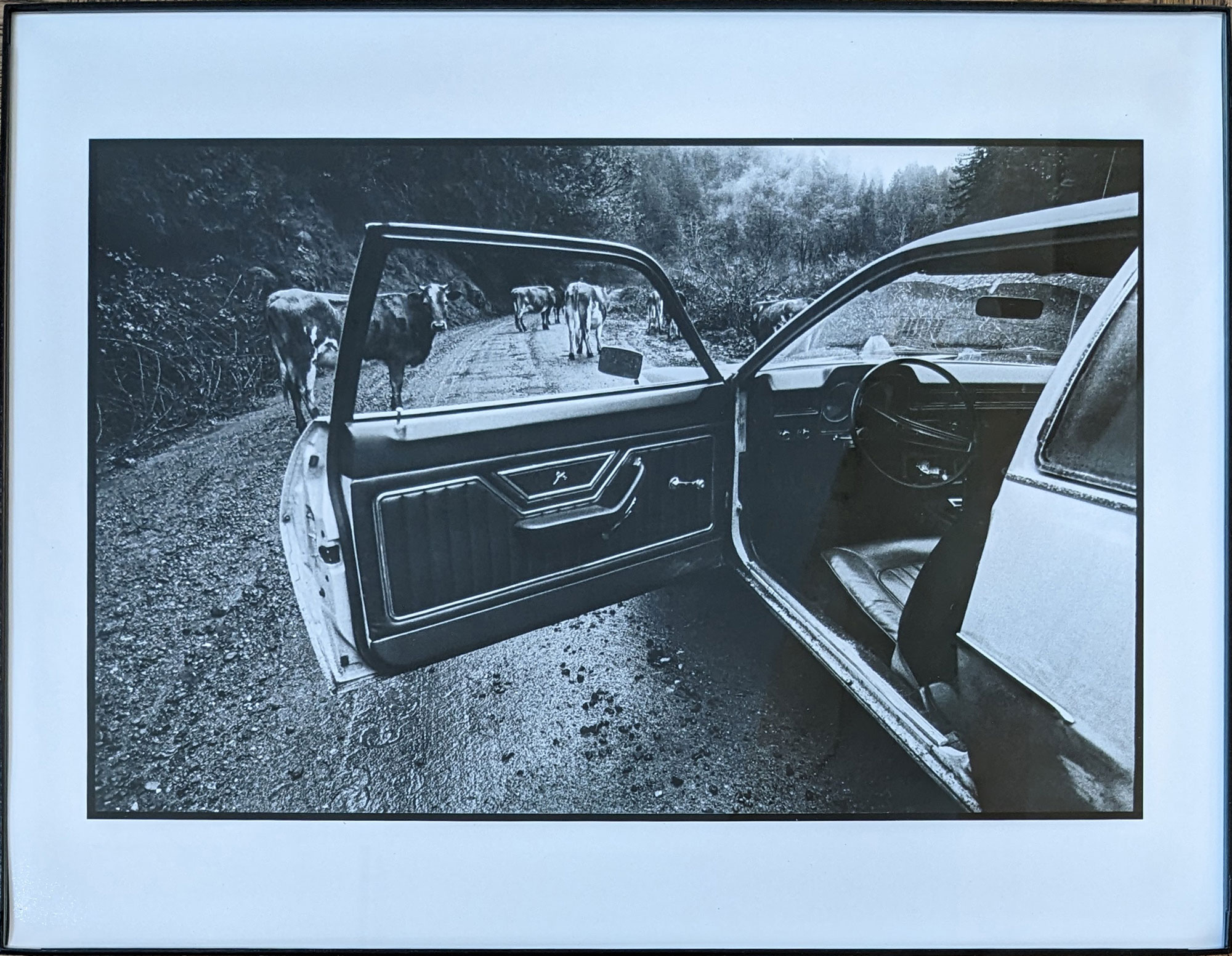John Bauguess: A Life Through His Lens & Depth of Field