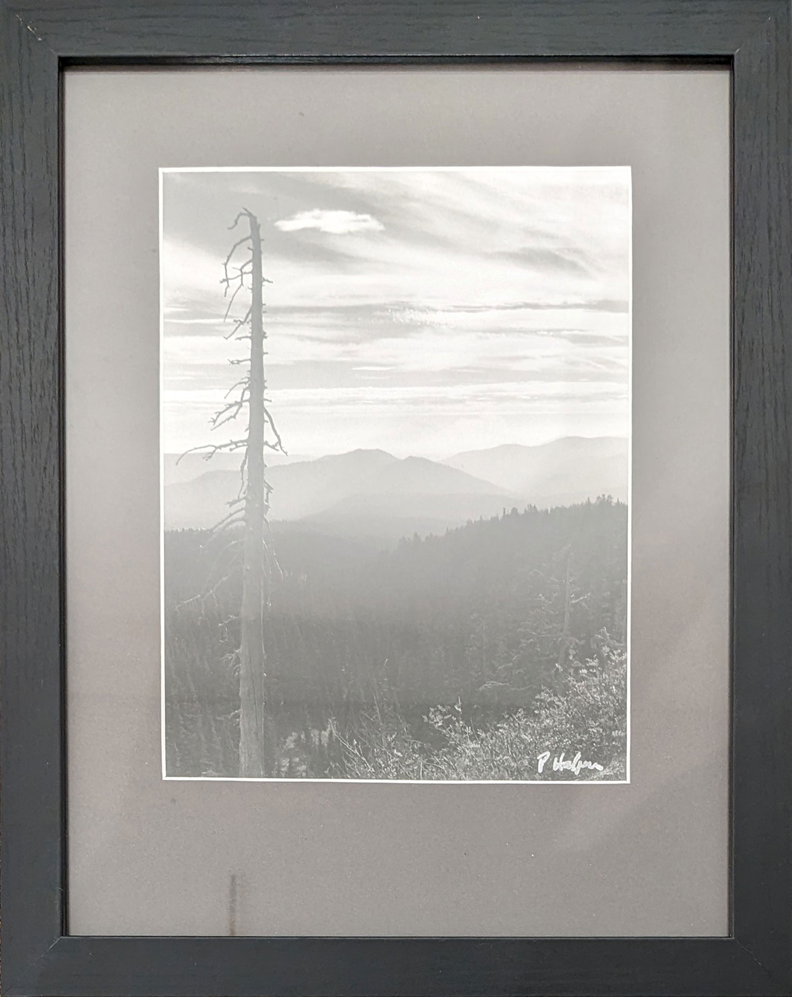 John Bauguess: A Life Through His Lens & Depth of Field