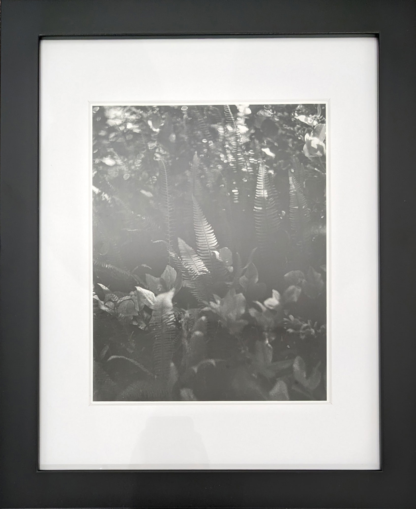 John Bauguess: A Life Through His Lens & Depth of Field