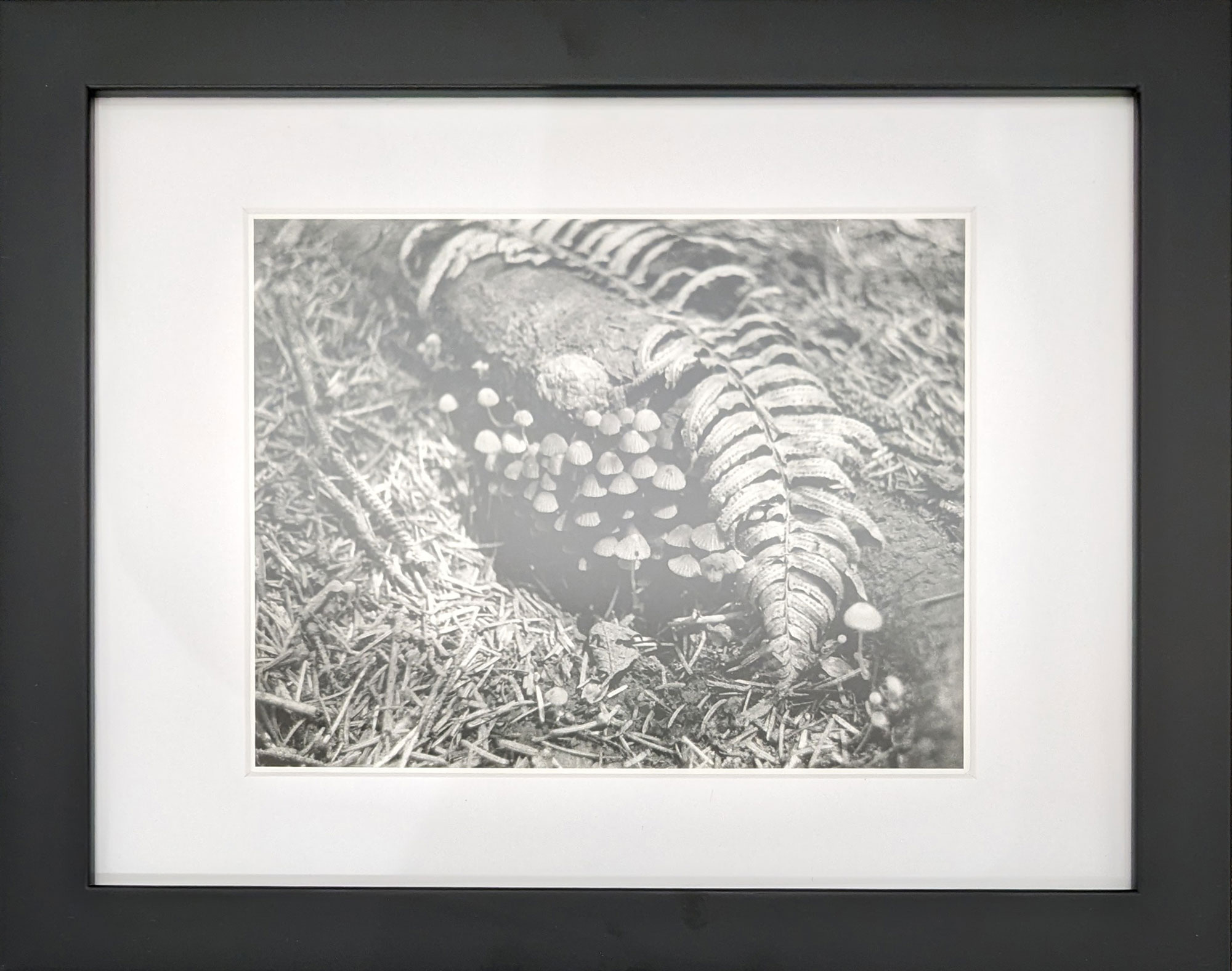 John Bauguess: A Life Through His Lens & Depth of Field