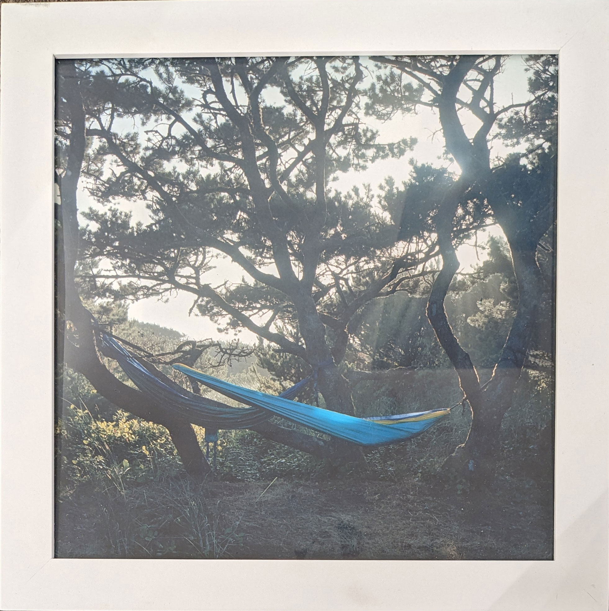 John Bauguess: A Life Through His Lens & Depth of Field