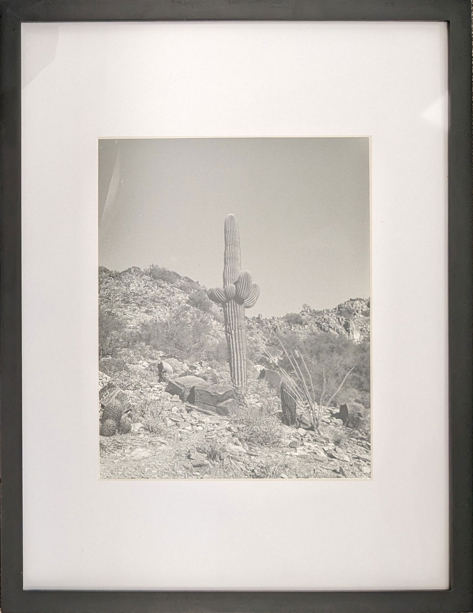 John Bauguess: A Life Through His Lens & Depth of Field